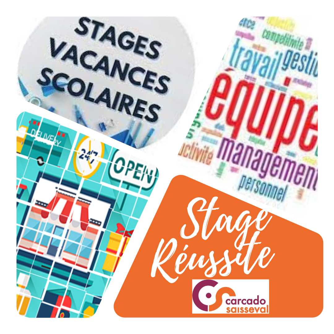 Stage de réussite au Bac Pro - Carcado Saisseval